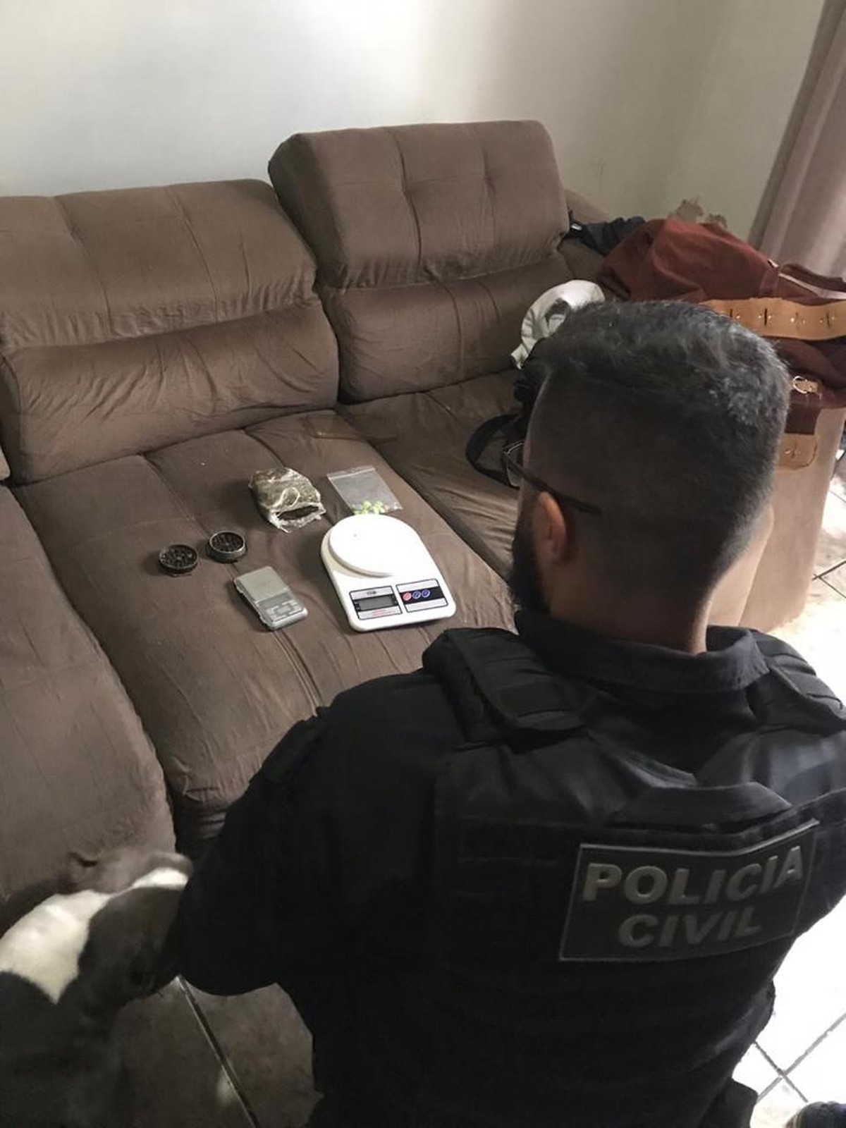 Operação Desarticula Rede De Tráfico Interestadual De Drogas Entre Df E
