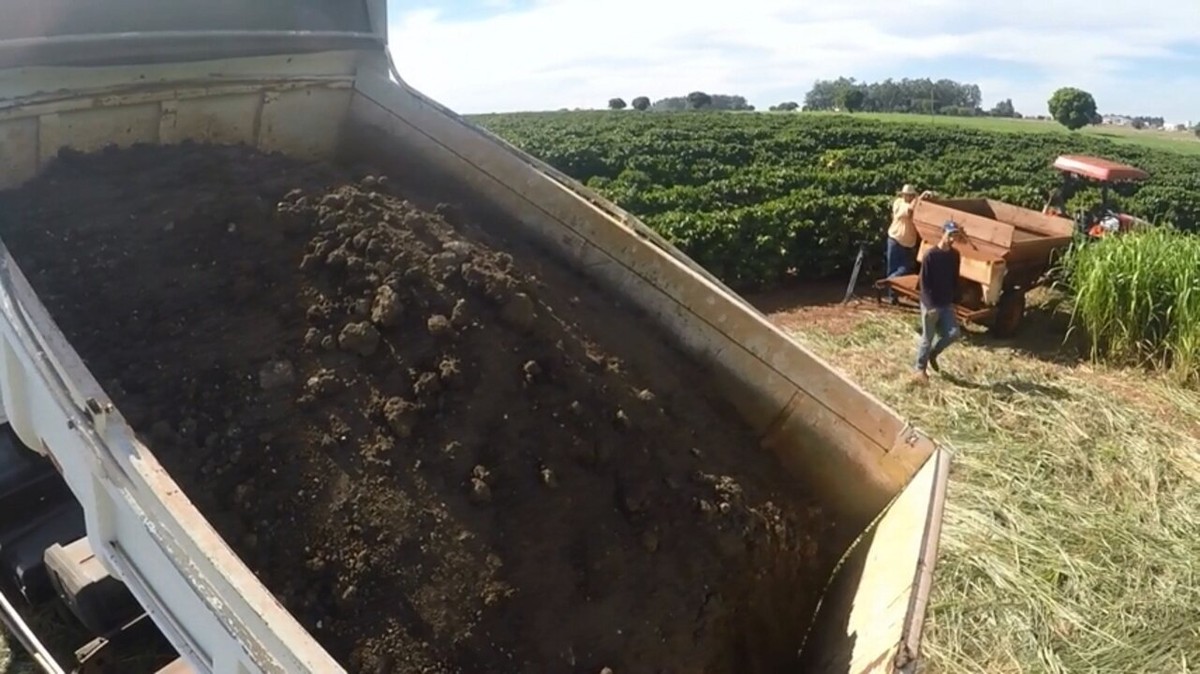 Uso de lodo melhora qualidade do solo e aumenta produtividade no Paraná ...