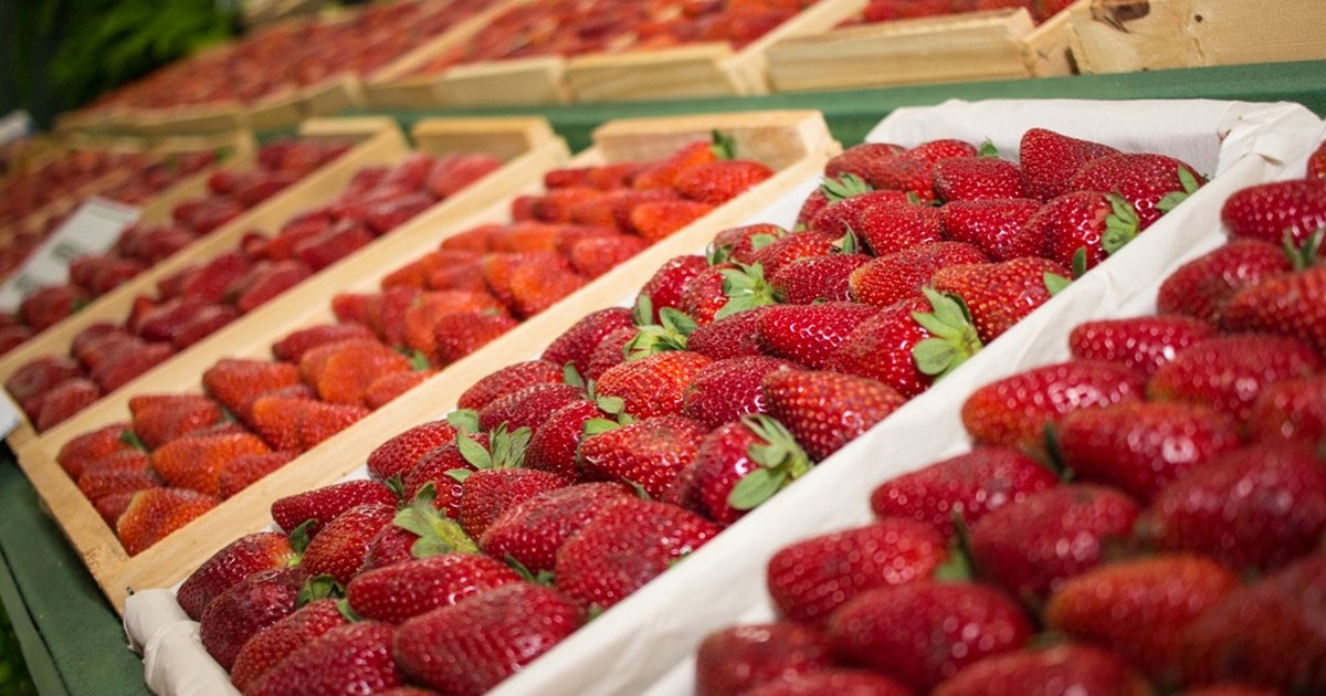 Turismo dos Morangos em Atibaia ganha novidade | Turismo Atibaia e ...