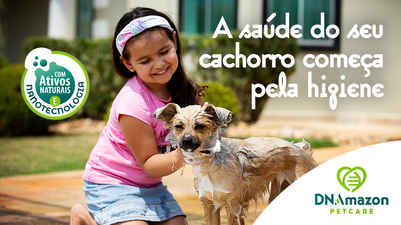 A saúde do seu cachorro começa pela higiene do banho | Especial ...