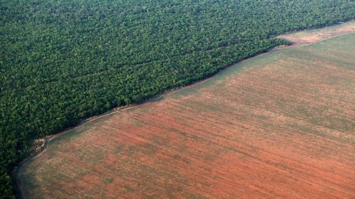 Grupo de cientistas lança manifesto em apoio ao Inpe após Bolsonaro ...