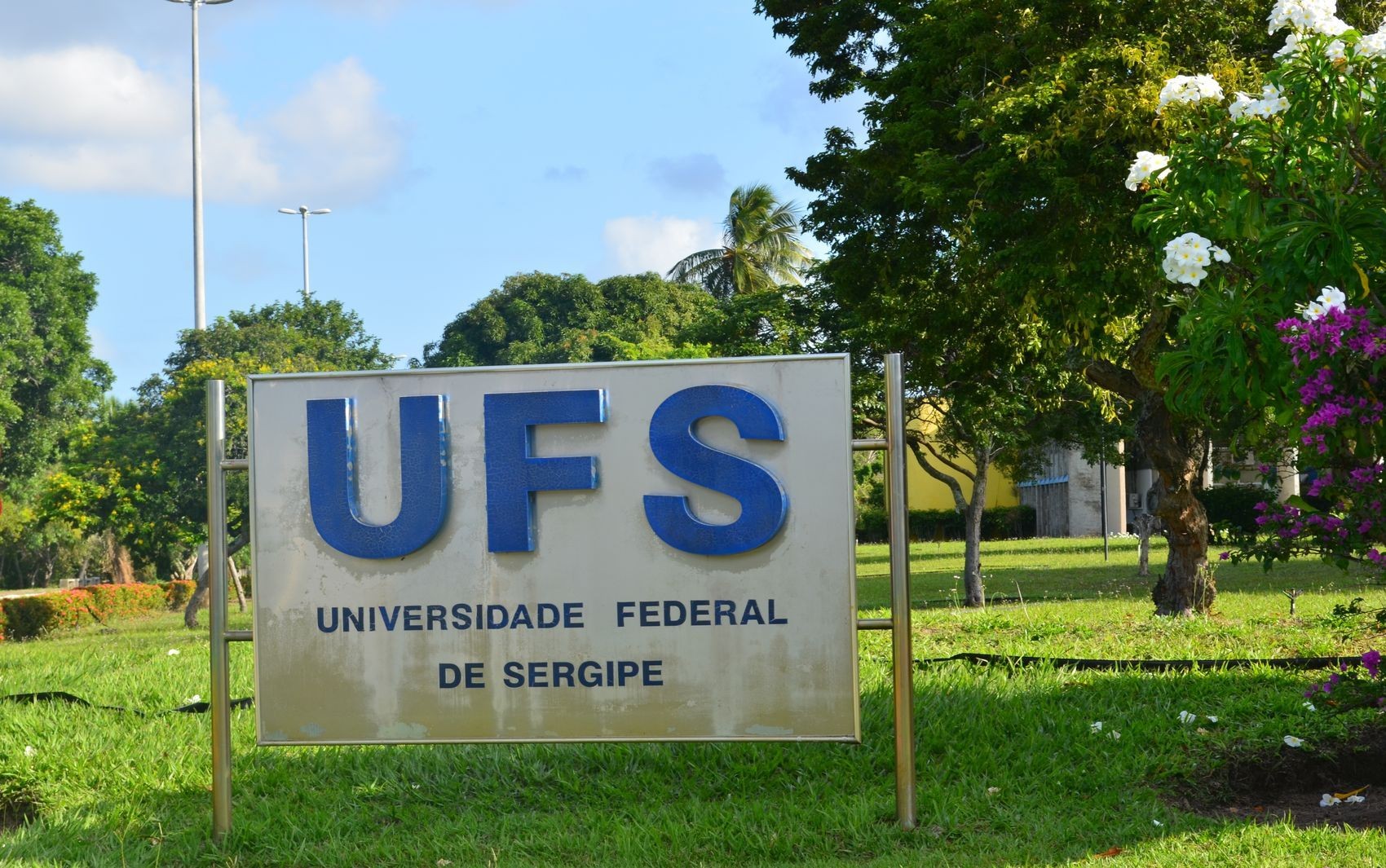 UFS publica lista de espera com relação de aprovados e excedentes para ...
