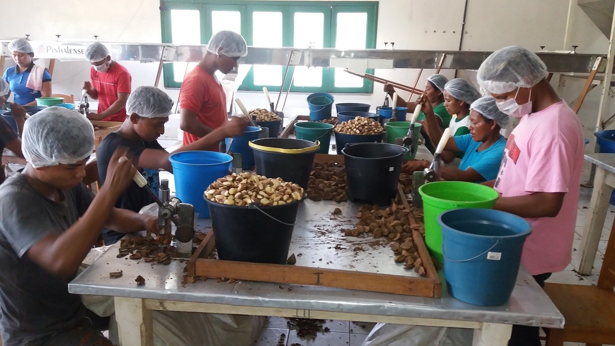 Afeam antecipa atendimento em 2018 com R$ 125 milhões para ...