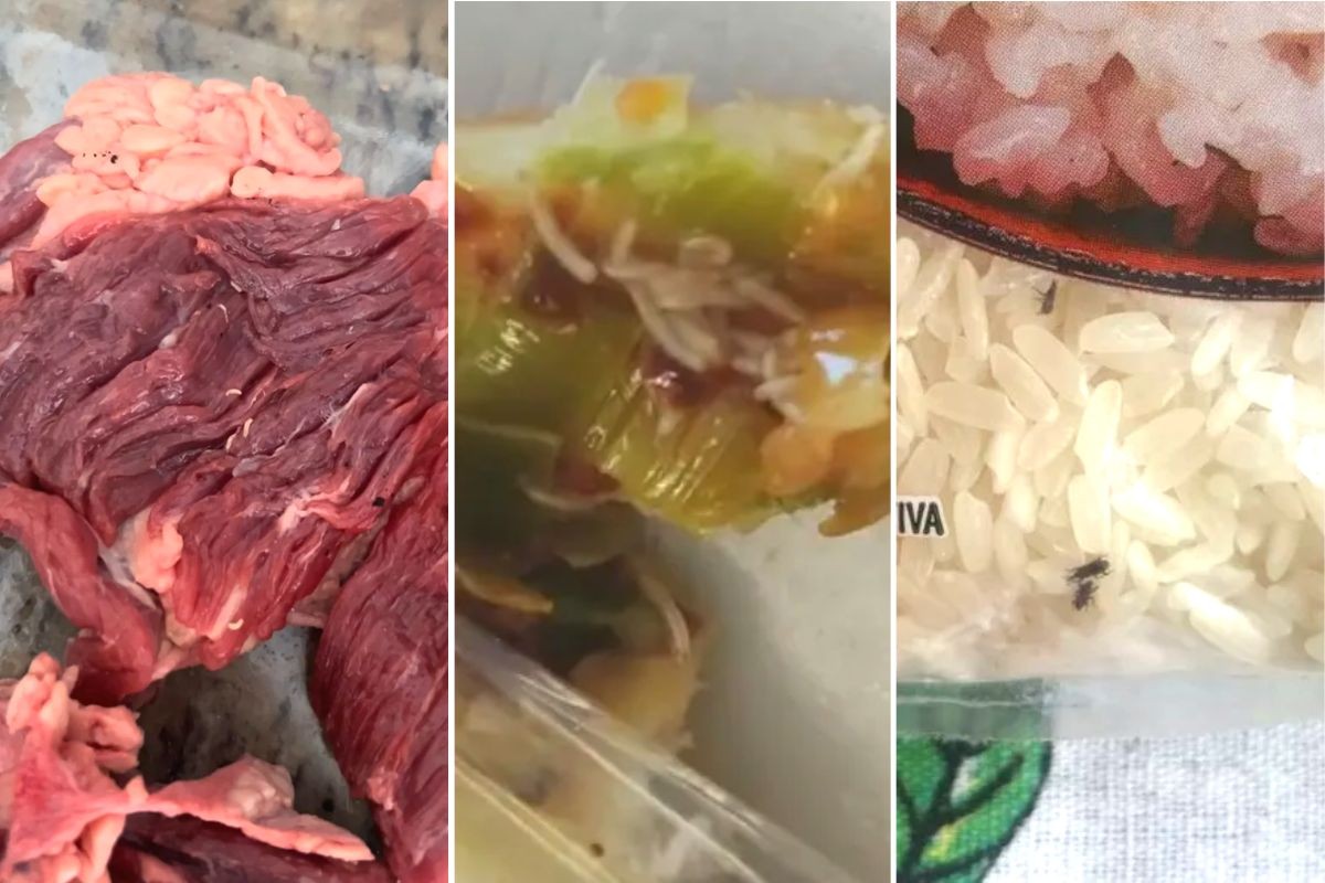 Especialista explica o que cliente pode fazer quando encontrar insetos ...