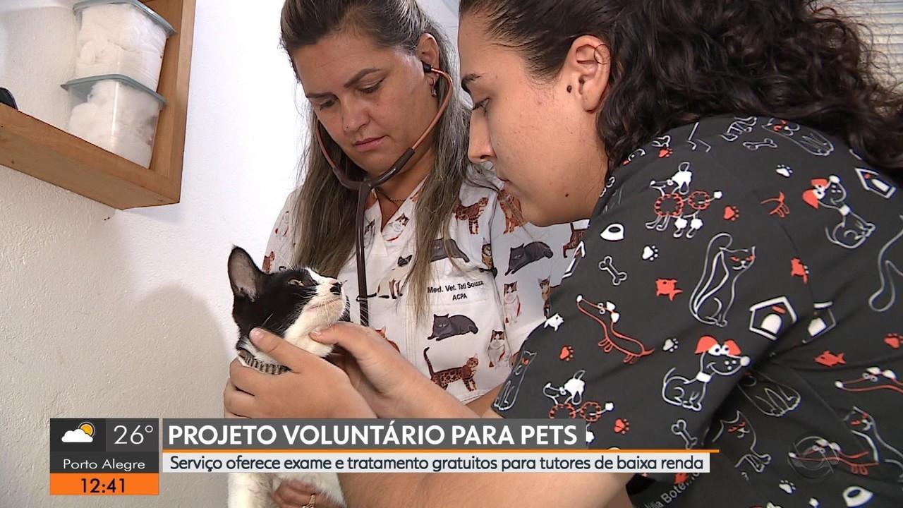 Conheça o SUS Animal: serviço voluntário no RS oferece veterinário ...