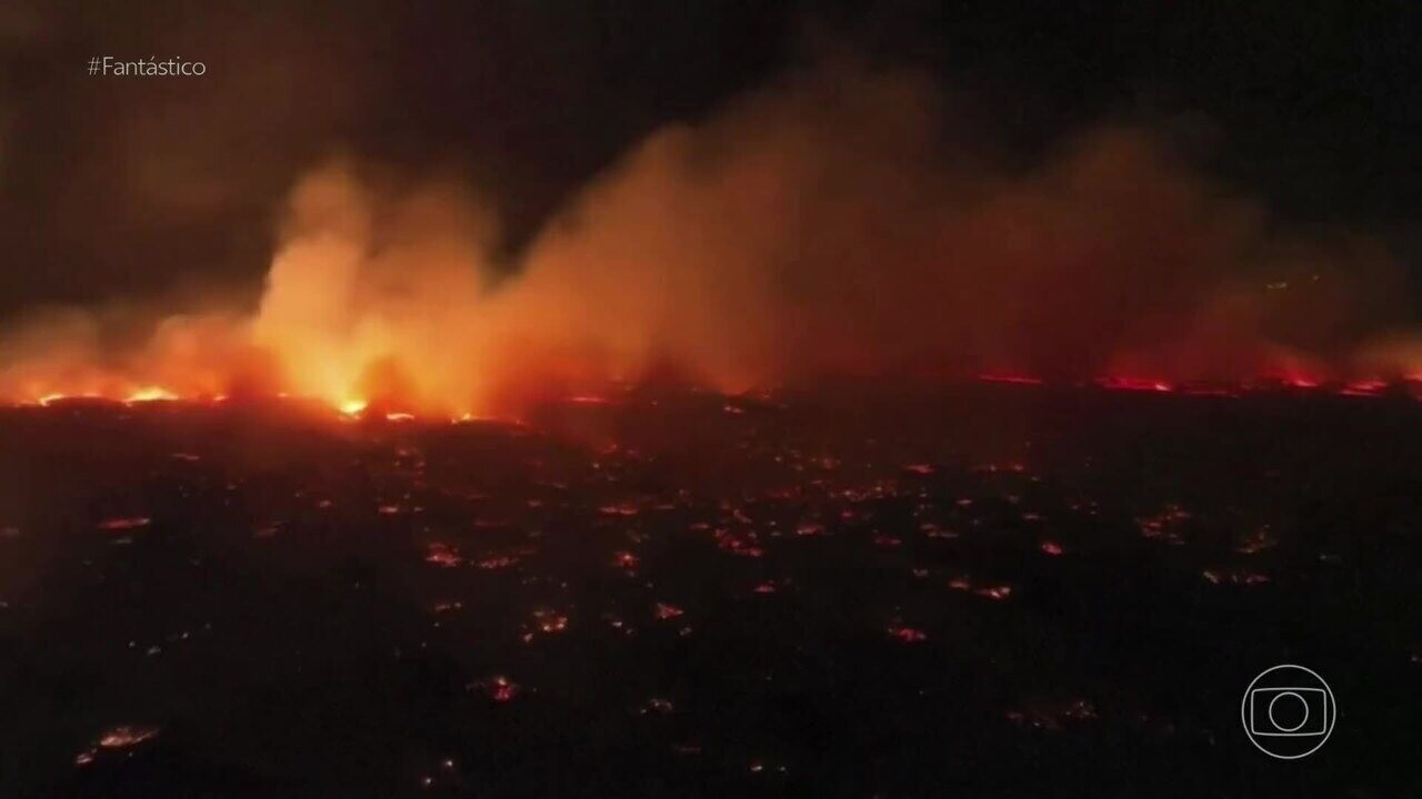 Fogo no Havaí: brasileira relata que precisou se atirar no mar para escapar das chamas