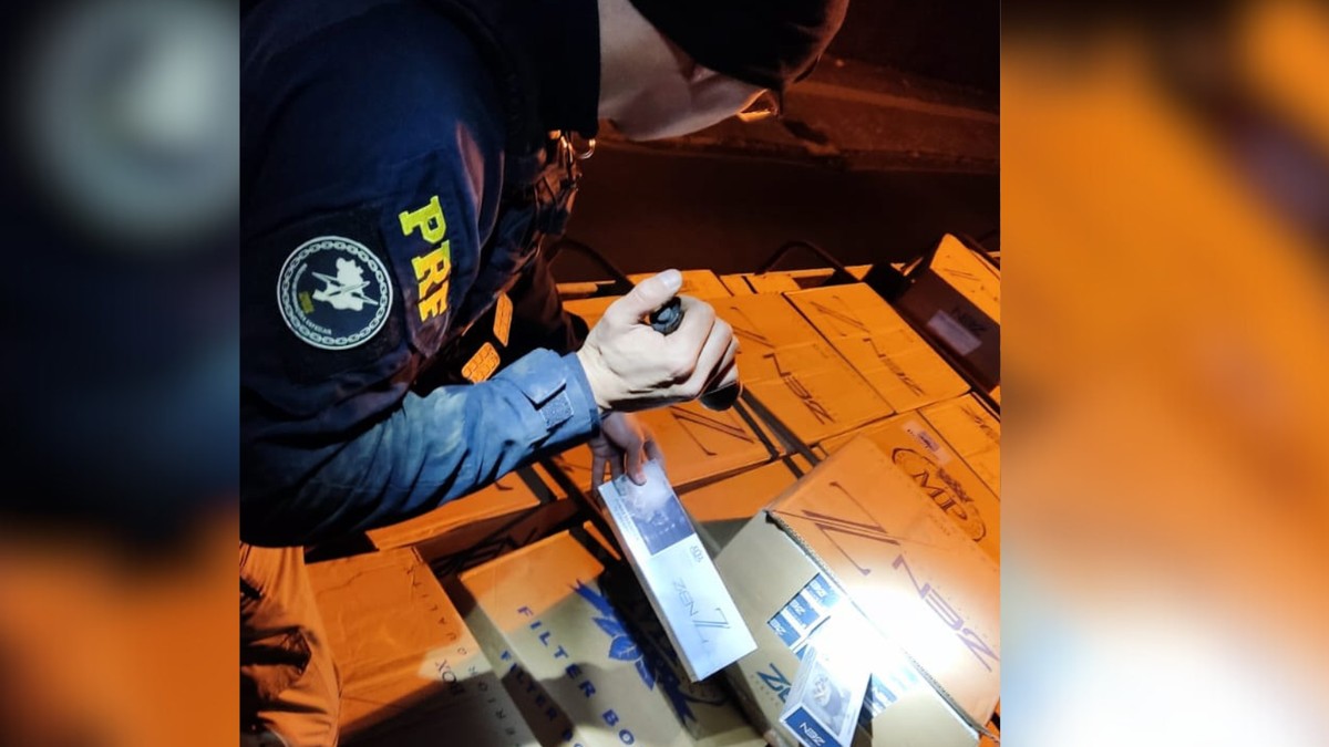 Polícia Apreende Caminhão Carregado Com Cerca De 450 Mil Maços De