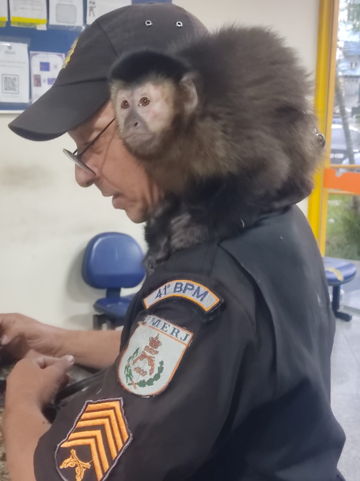 PM resgata macaco-prego escondido em moto usada por suspeitos | G1