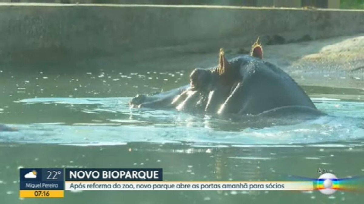 BioParque do Rio é inaugurado; visitação para o público em geral começa ...