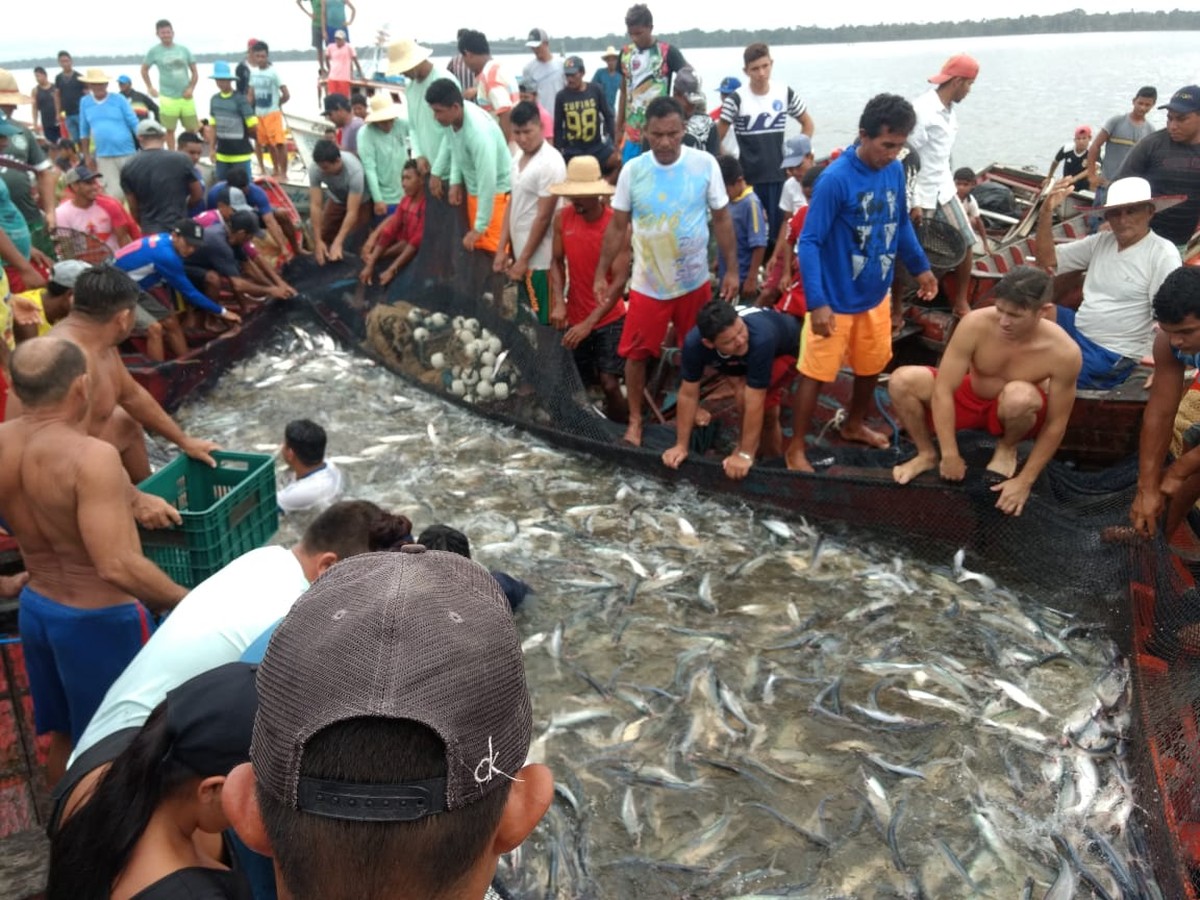 Após 4 meses de defeso, pescadores comemoram a retomada da pesca do ...