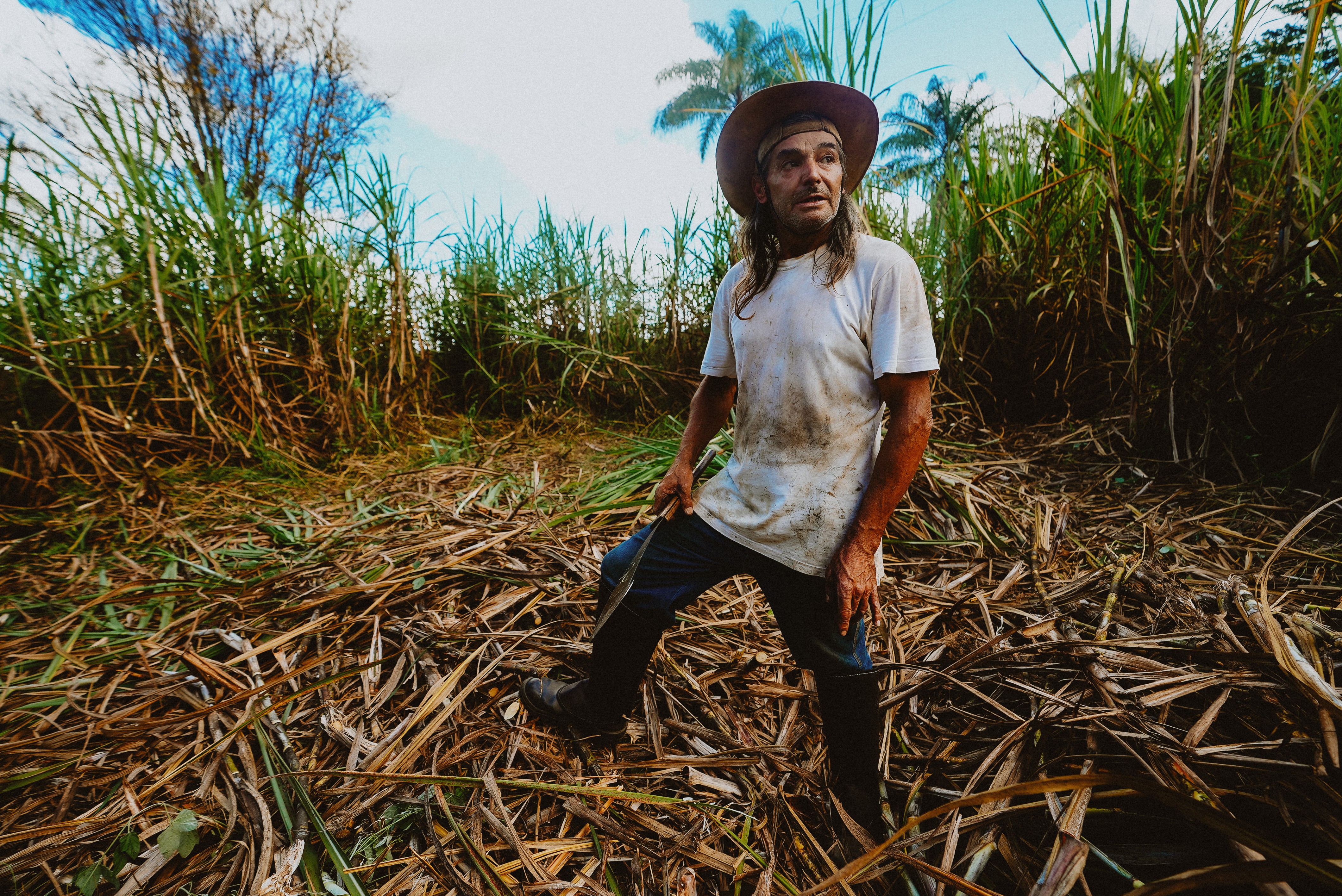 Cachaça tem cabeça, coração e cauda; saiba qual parte pode ser ...