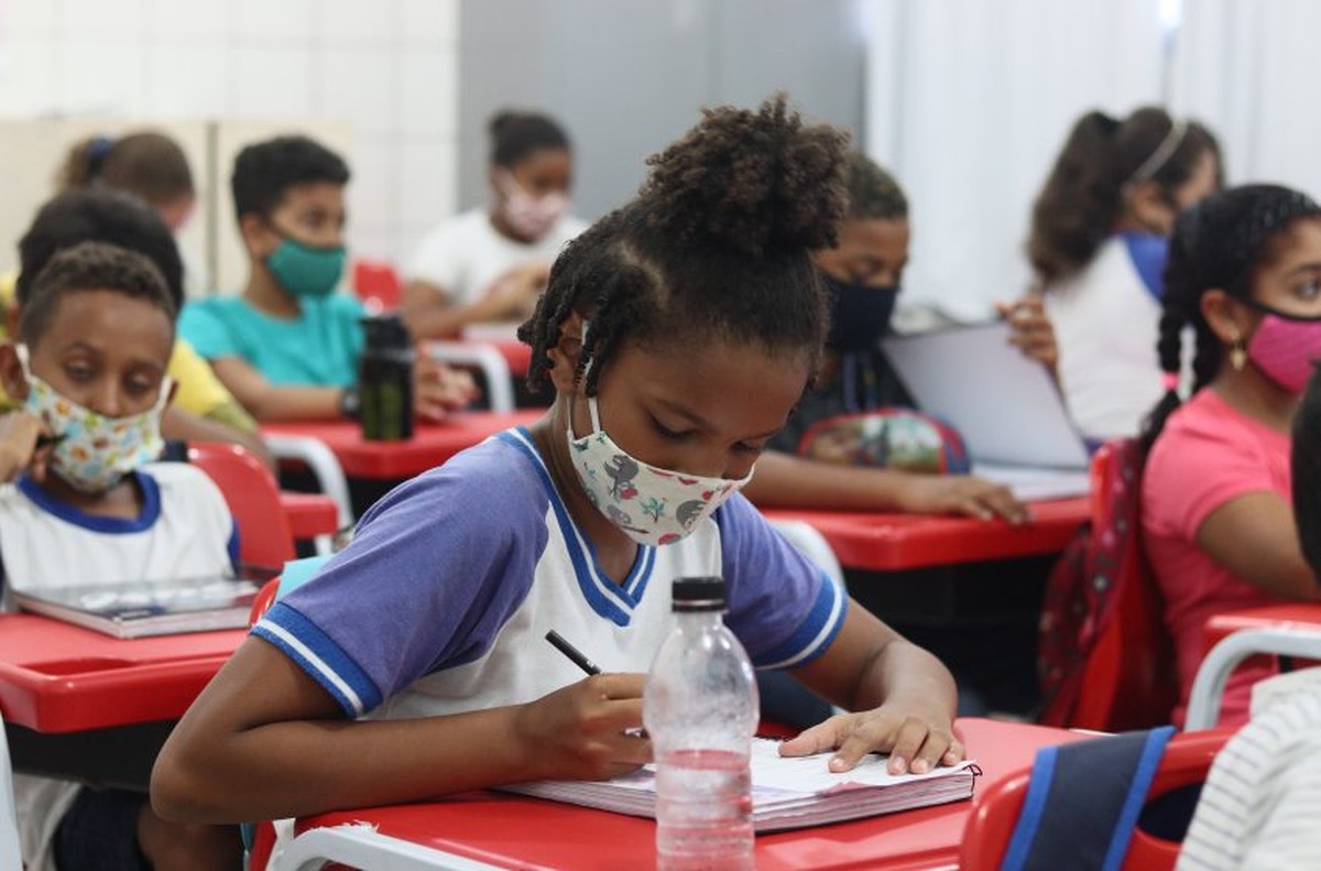 Ano Letivo 2023 Veja Calendário De Matrículas Da Rede De Ensino De