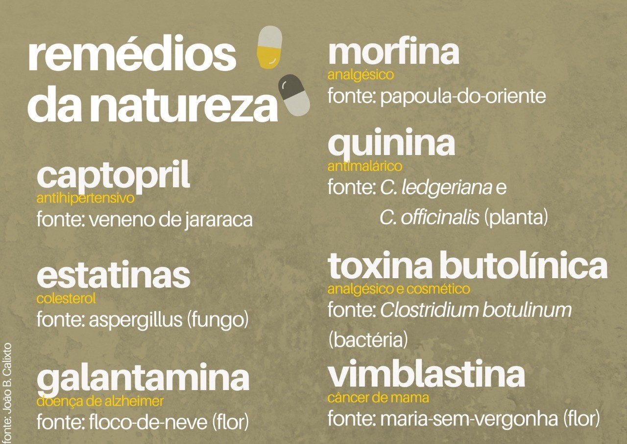 Saiba como pesquisadores "caçam" remédios na natureza | G1