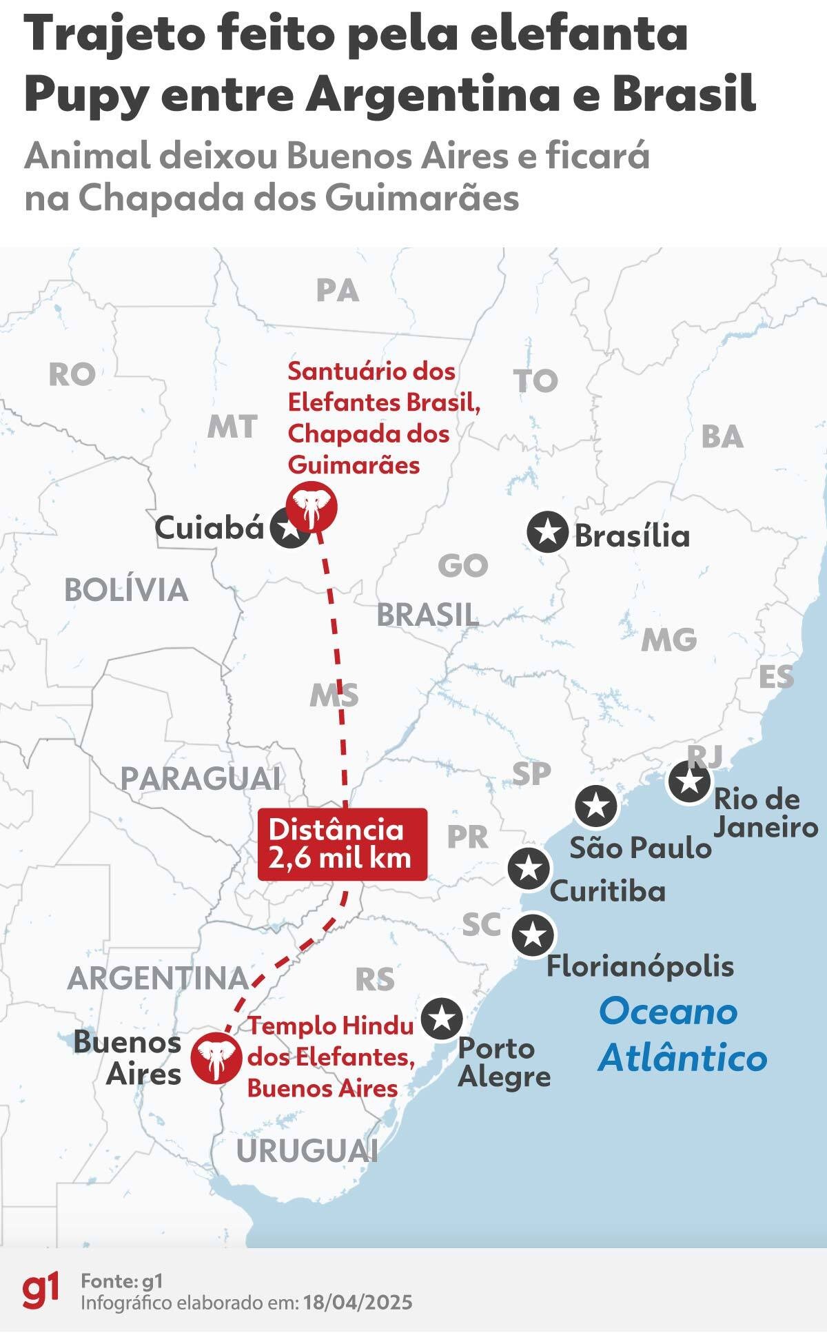 Após 56 dias, primeira elefanta africana chega em MT | G1