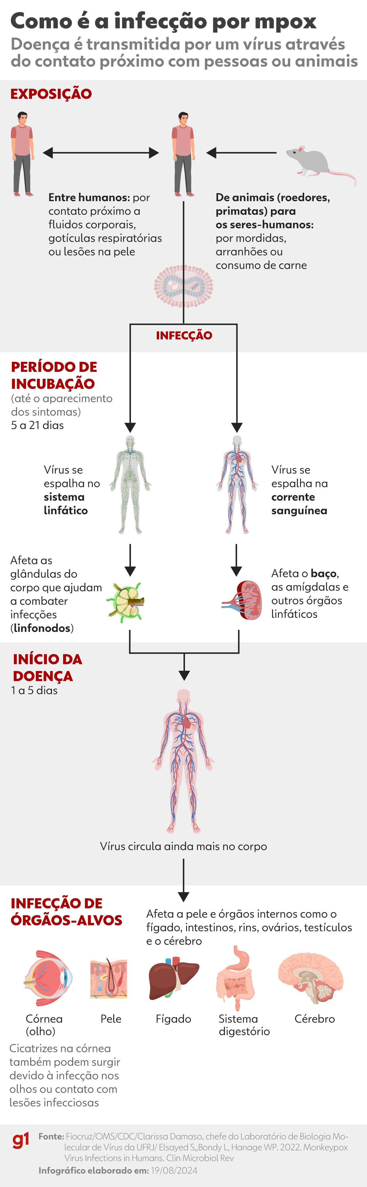 Mpox: saiba quais são os sintomas e formas de transmissão da doença ...