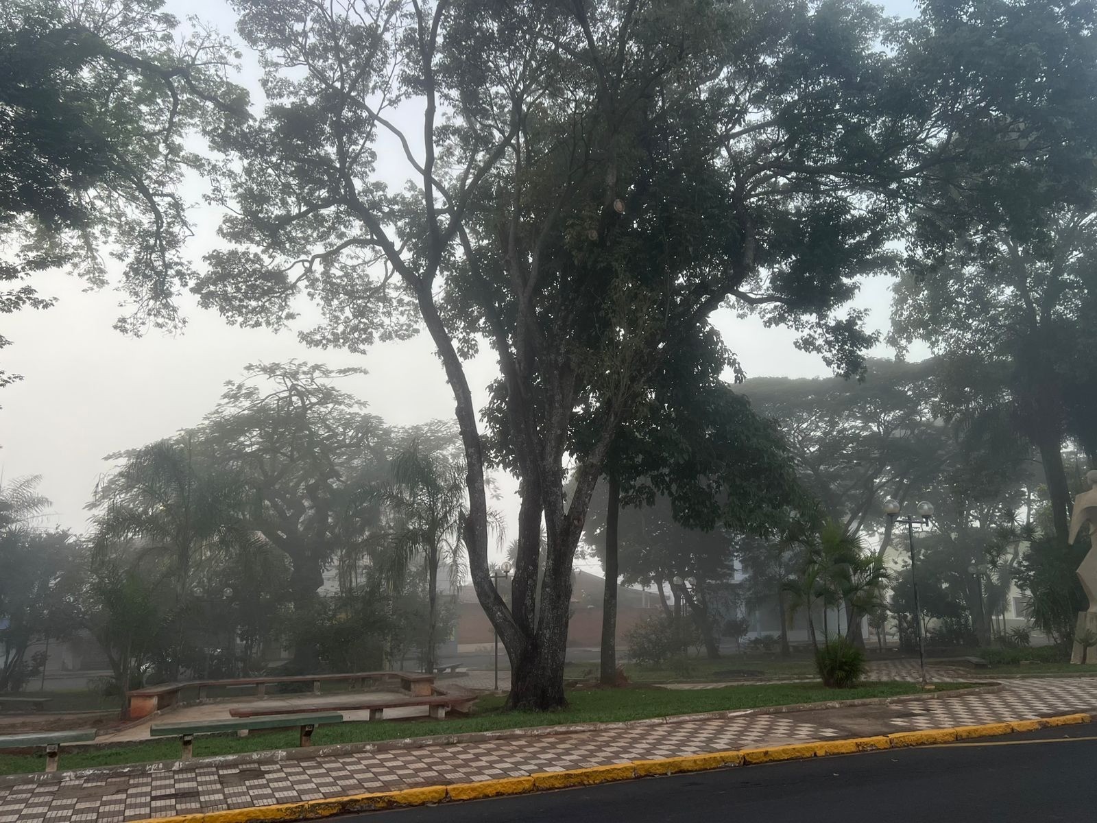 Frio volta a ganhar força no interior de SP; veja a previsão | G1