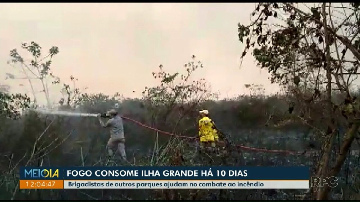 Incêndio queima 62% do Parque Nacional de Ilha Grande e chega perto de ...