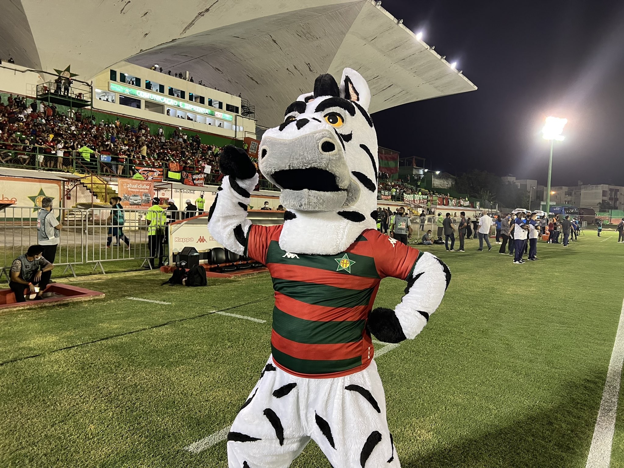 Por que se usa o termo “Deu Zebra“? | G1