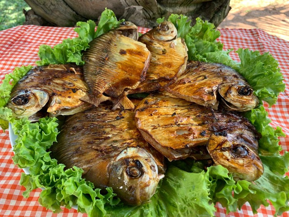 Receita de Família: moradora de MT ensina preparo de Pacu Peva assado ...