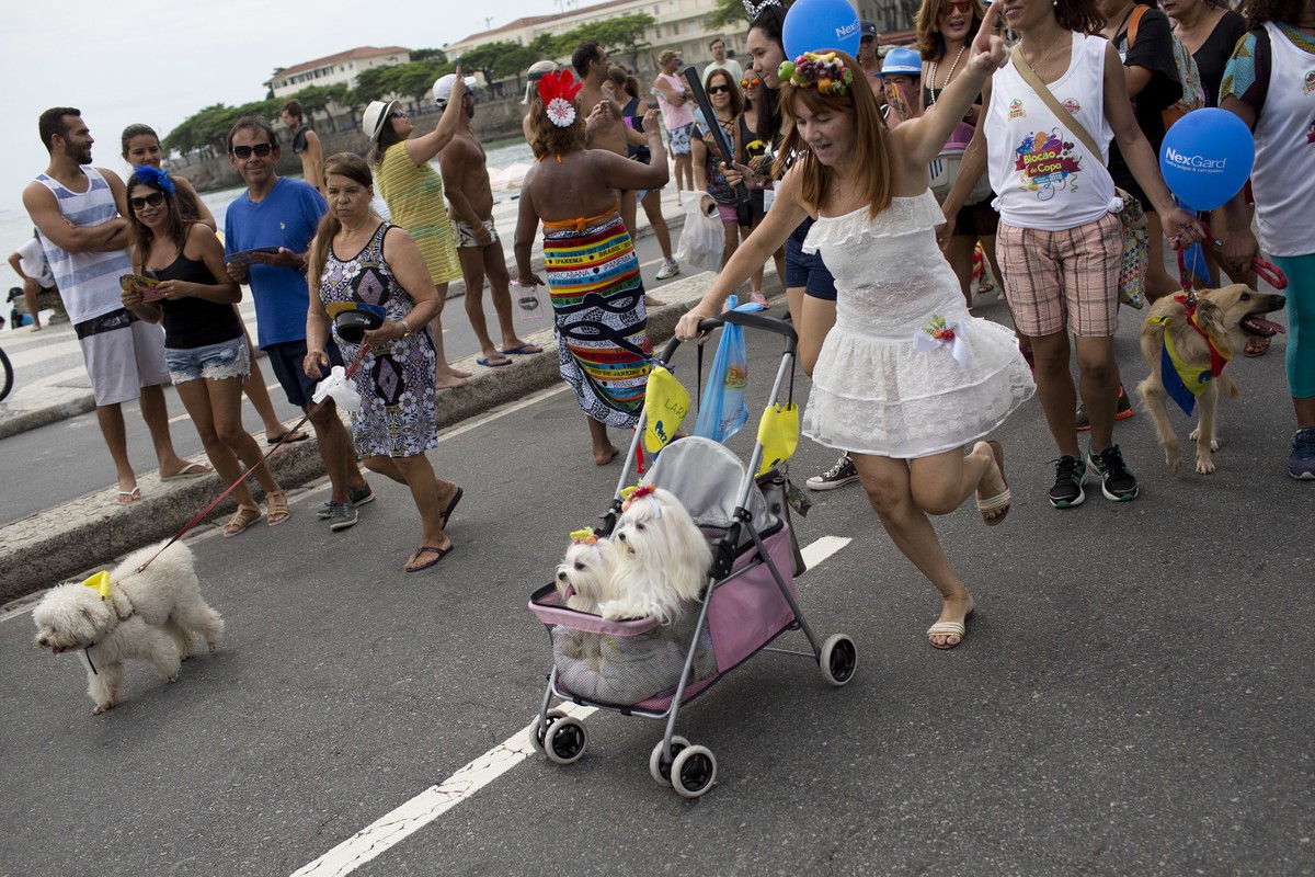 Bloco para animais de estimação reúne cães fantasiados em Copacabana ...