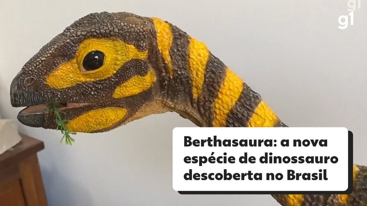 Museu Nacional anuncia descoberta de nova espécie de dinossauro ...