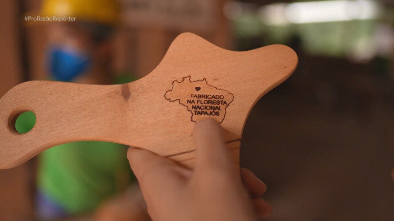 Saiba como funciona trabalho de exploração consciente na Amazônia, com ...