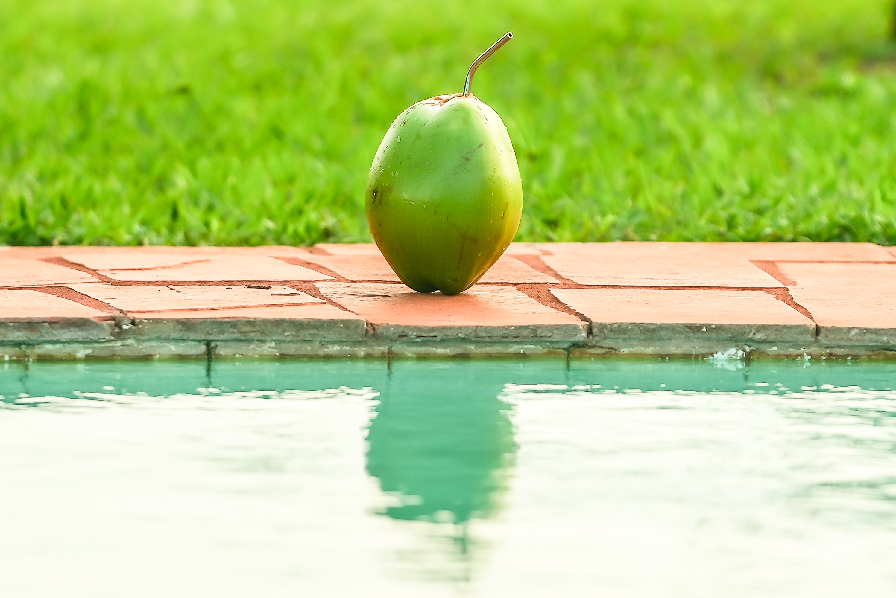 Água de coco não é tudo igual: veja quais tipos podem ser ...