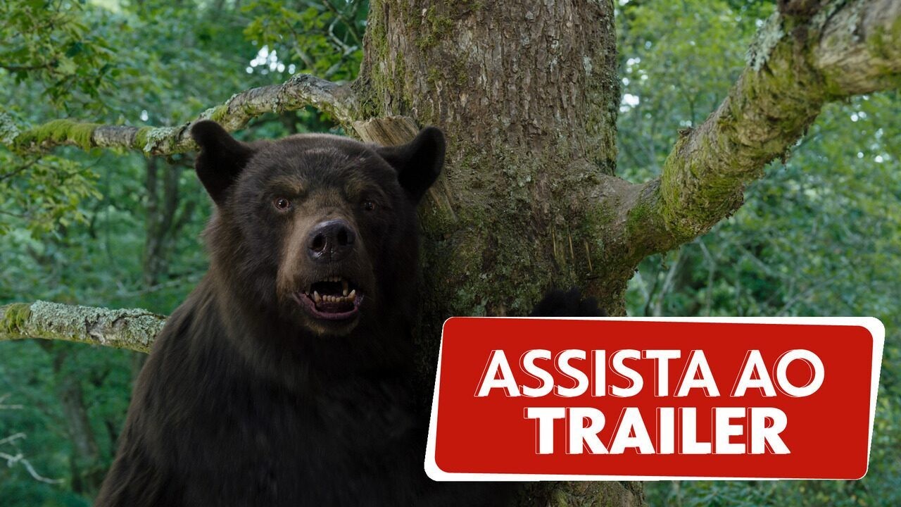 'O urso do pó branco' estreia nos cinemas da Paraíba | Paraíba | G1