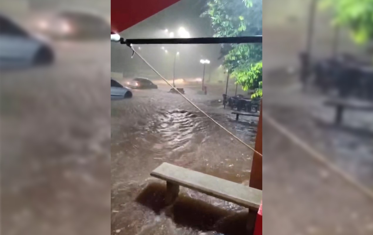 Temporal com ventos fortes provoca alagamentos e queda de árvores em ...