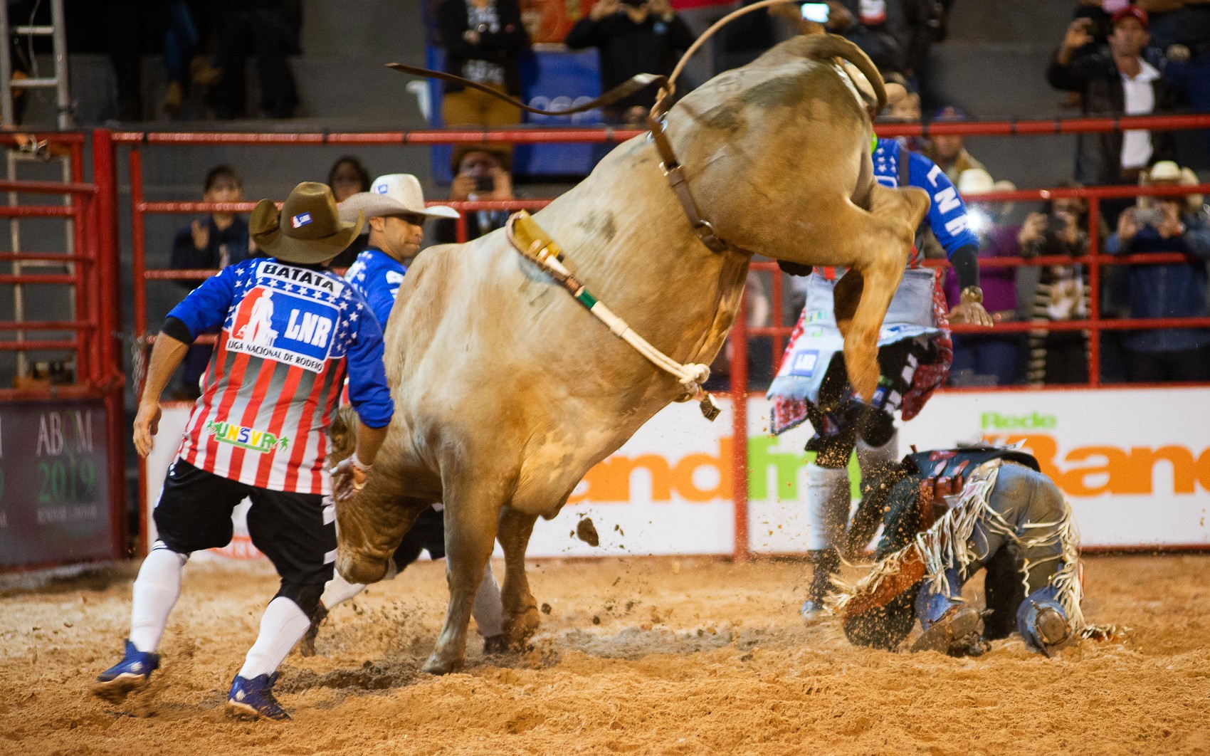 Barretos 2019: primeira noite do Rodeio Estadual; FOTOS | G1