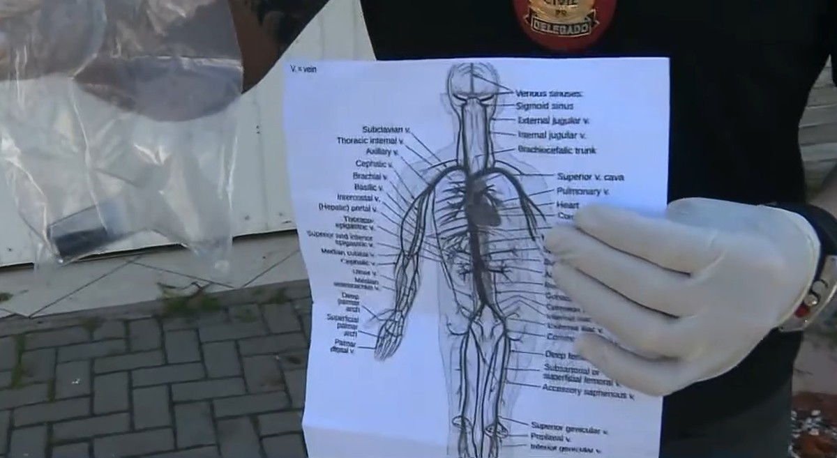 Polícia Encontra Enxada Veneno E Desenho De Corpo Humano Na Casa De