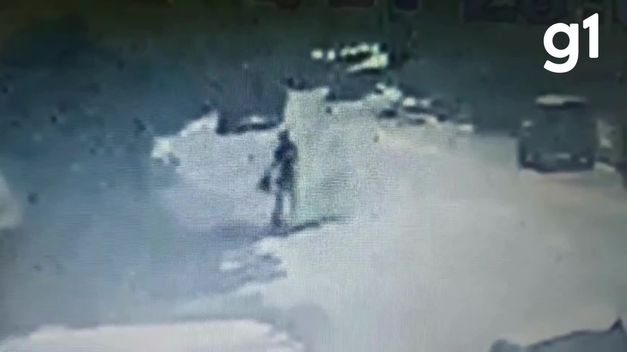 VÍDEO: PM atira em cachorra e animal perde visão de um olho