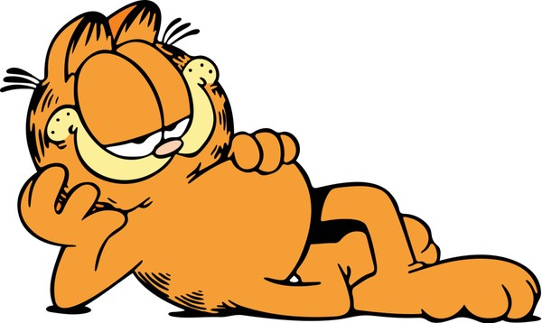 Garfield completa 40 anos, veja cronologia do gato e 40 coisas que🛐 ...