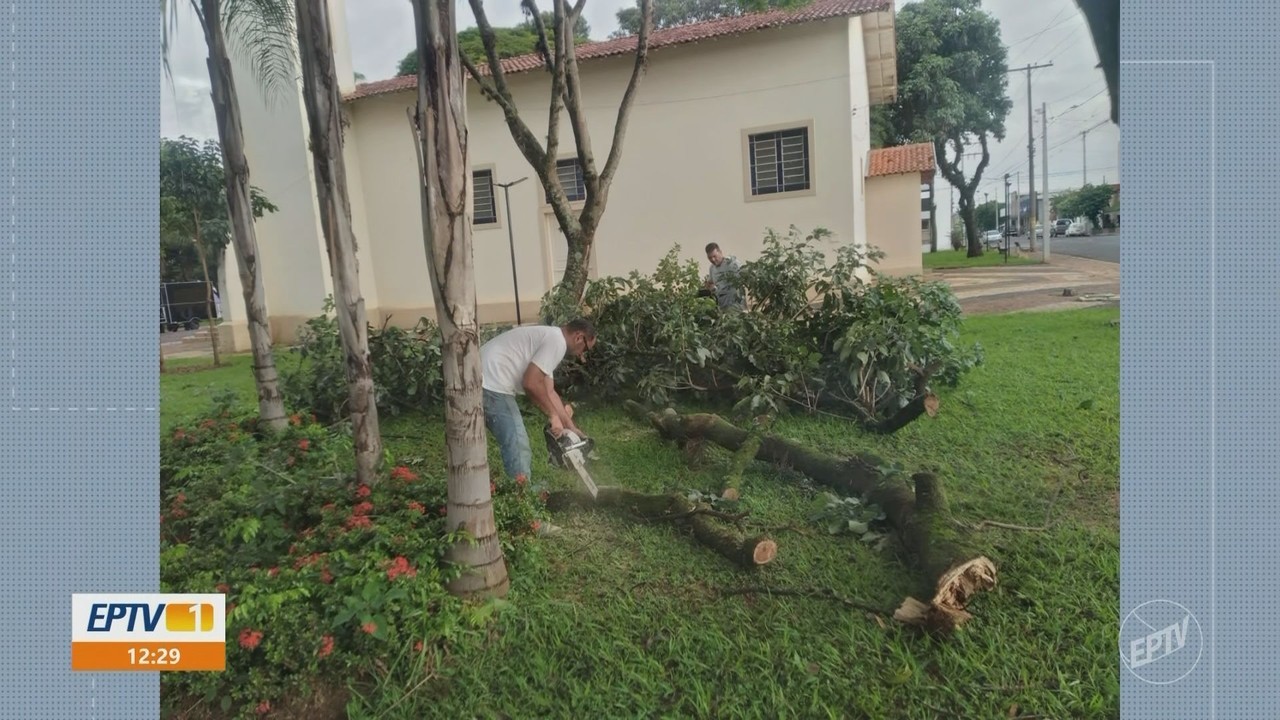 VÍDEO: vento forte danifica estrutura de lava-rápido em chuva no interior de SP; ASSISTA