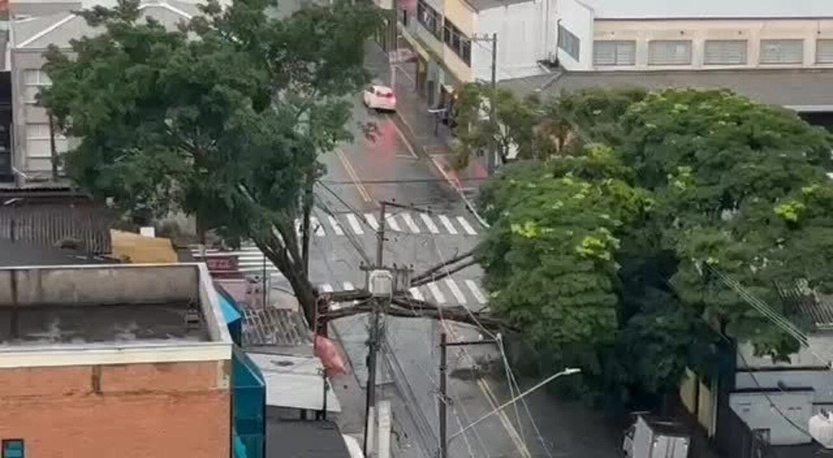 Chuva na cidade de SP provoca alagamentos e quedas de árvores neste ...