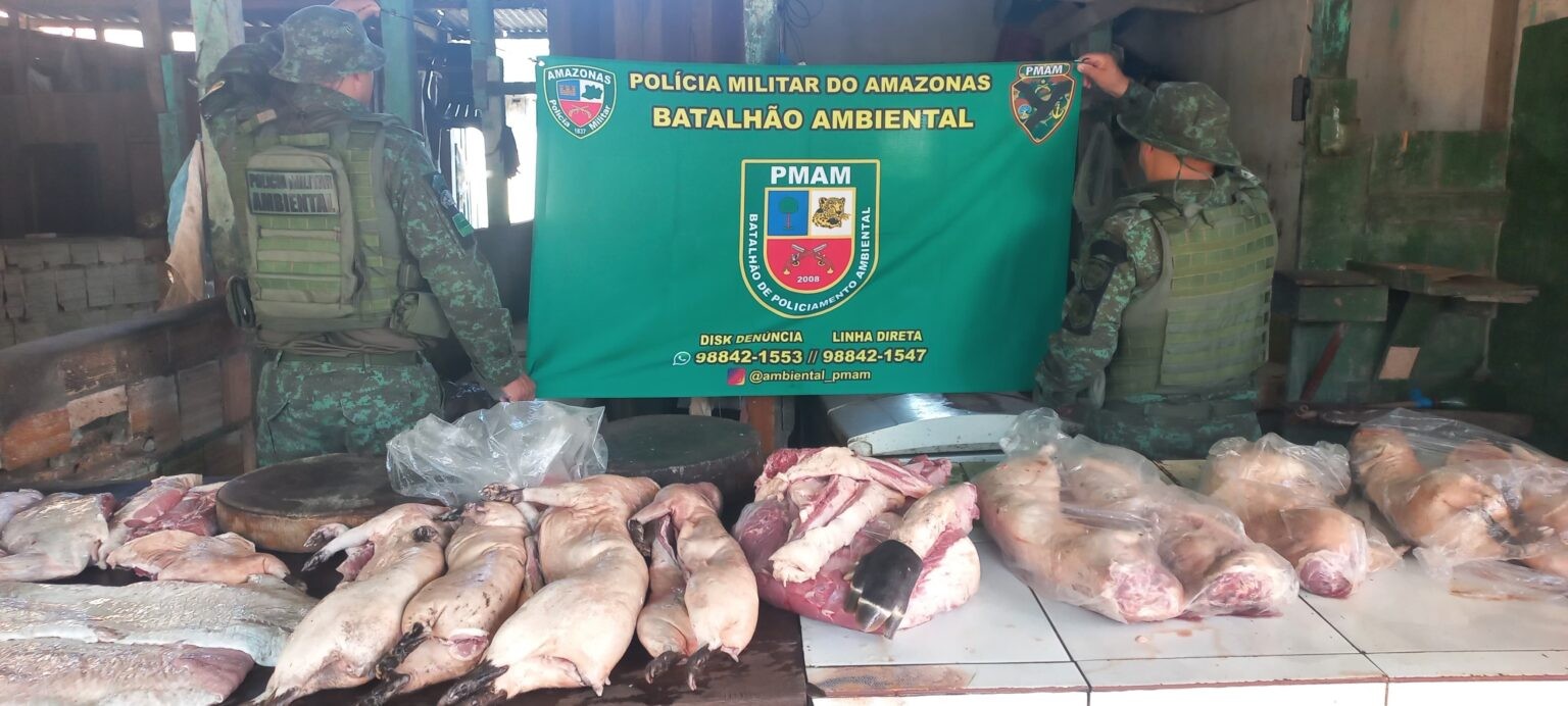 Carnes de paca e anta são apreendidas em estabelecimento no interior do ...