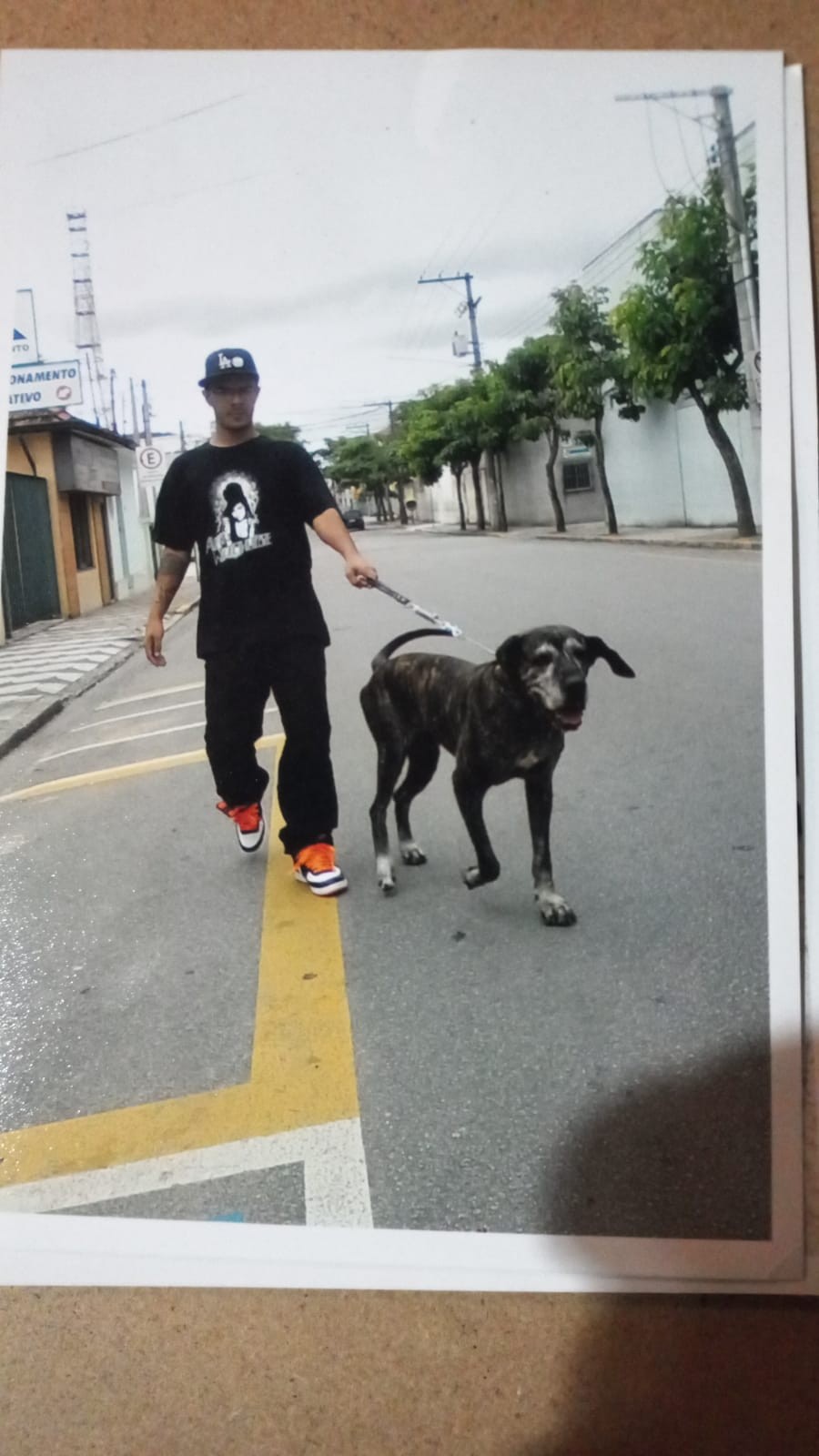 'La La La Dog' completa 10 anos desde primeira aparição em muros de ...
