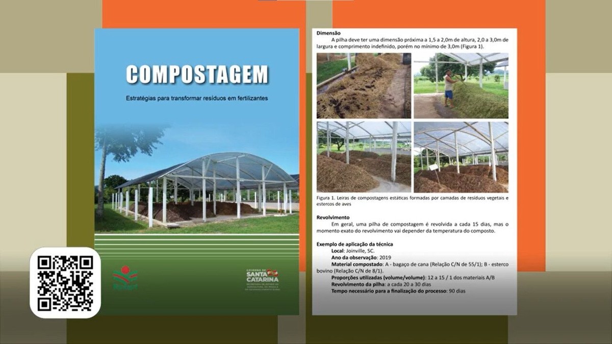 Saiba como montar uma composteira para transformar resíduos da lavoura ...