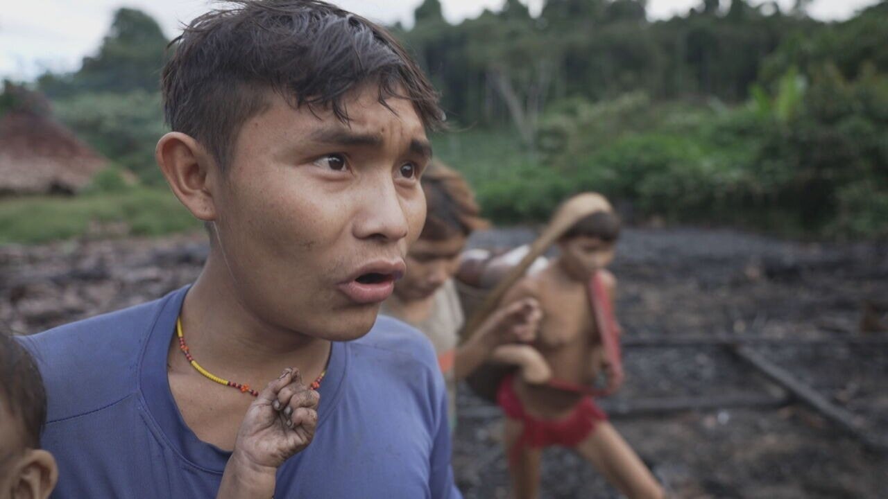 Desnutrição atinge cerca de 50% de crianças Yanomami de até 5 anos ...