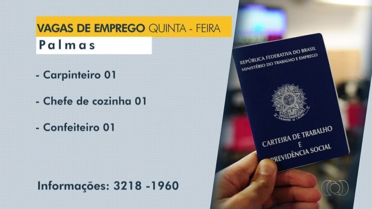 Veja as oportunidades de emprego ofertadas pelo Sine no Tocantins | Tocantins | G1