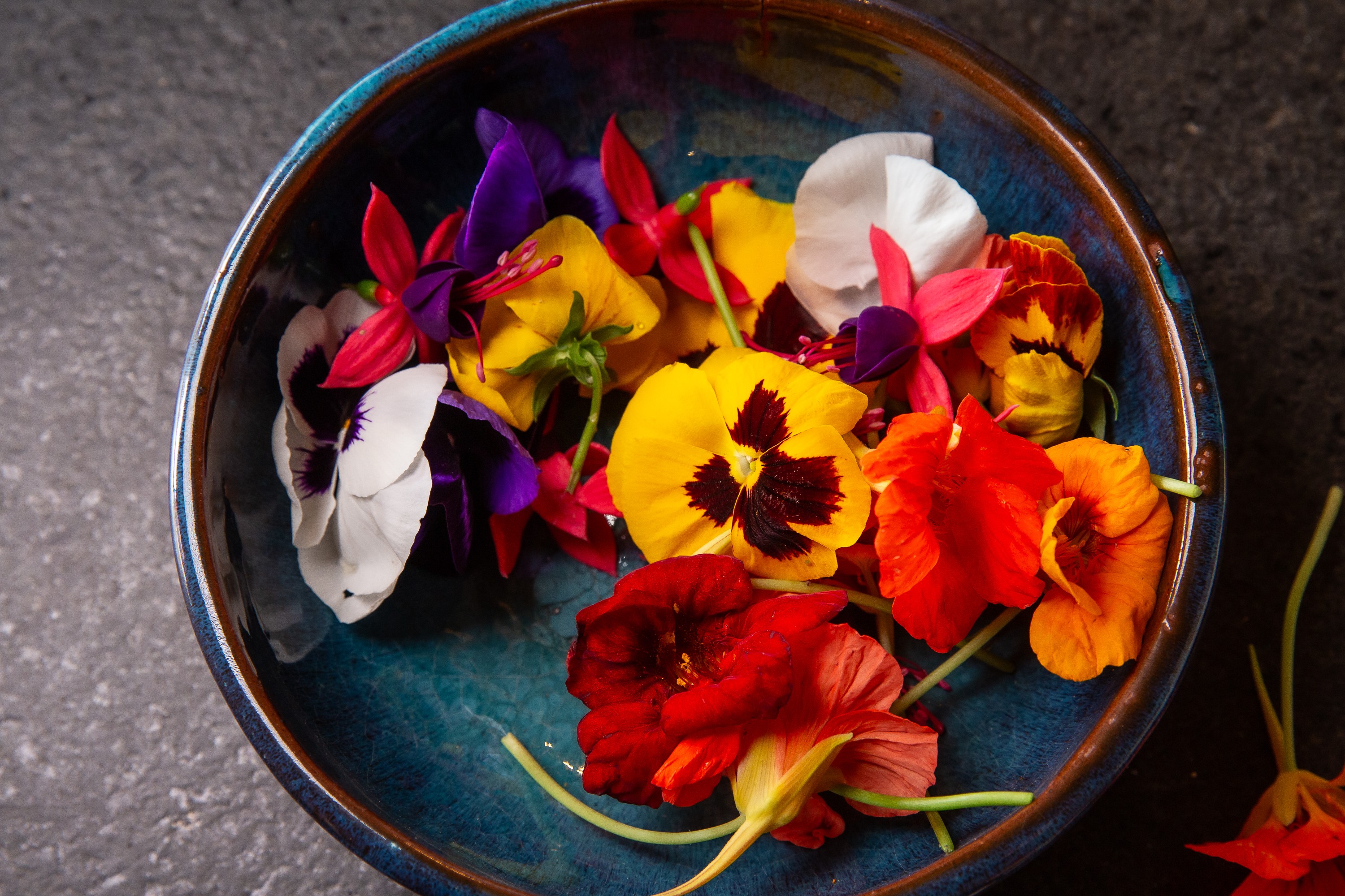 80% das flores são comestíveis: aprenda a fazer receita chique com ...