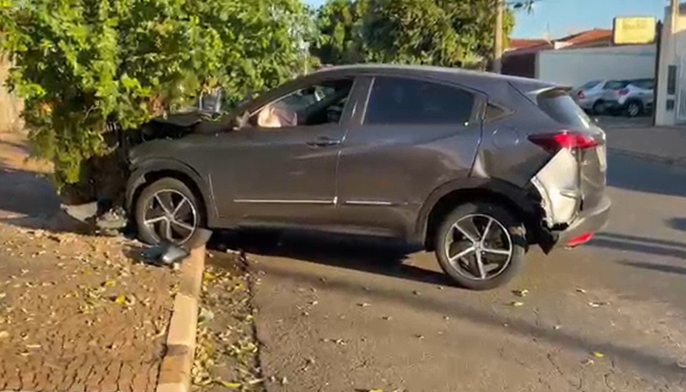 Motorista perde direção de carro e atropela idosa em Paulínia | G1