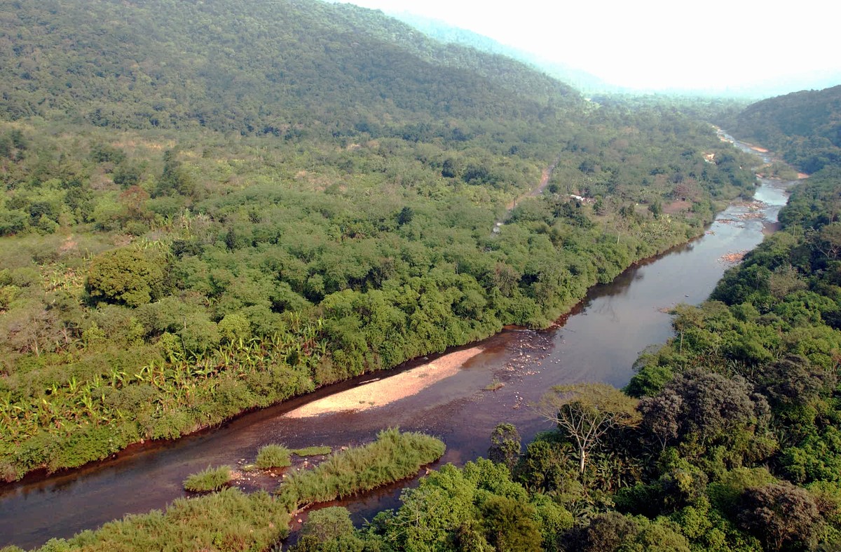 Parque Estadual Serra do Mar completa 45 anos | Santos e Região | G1