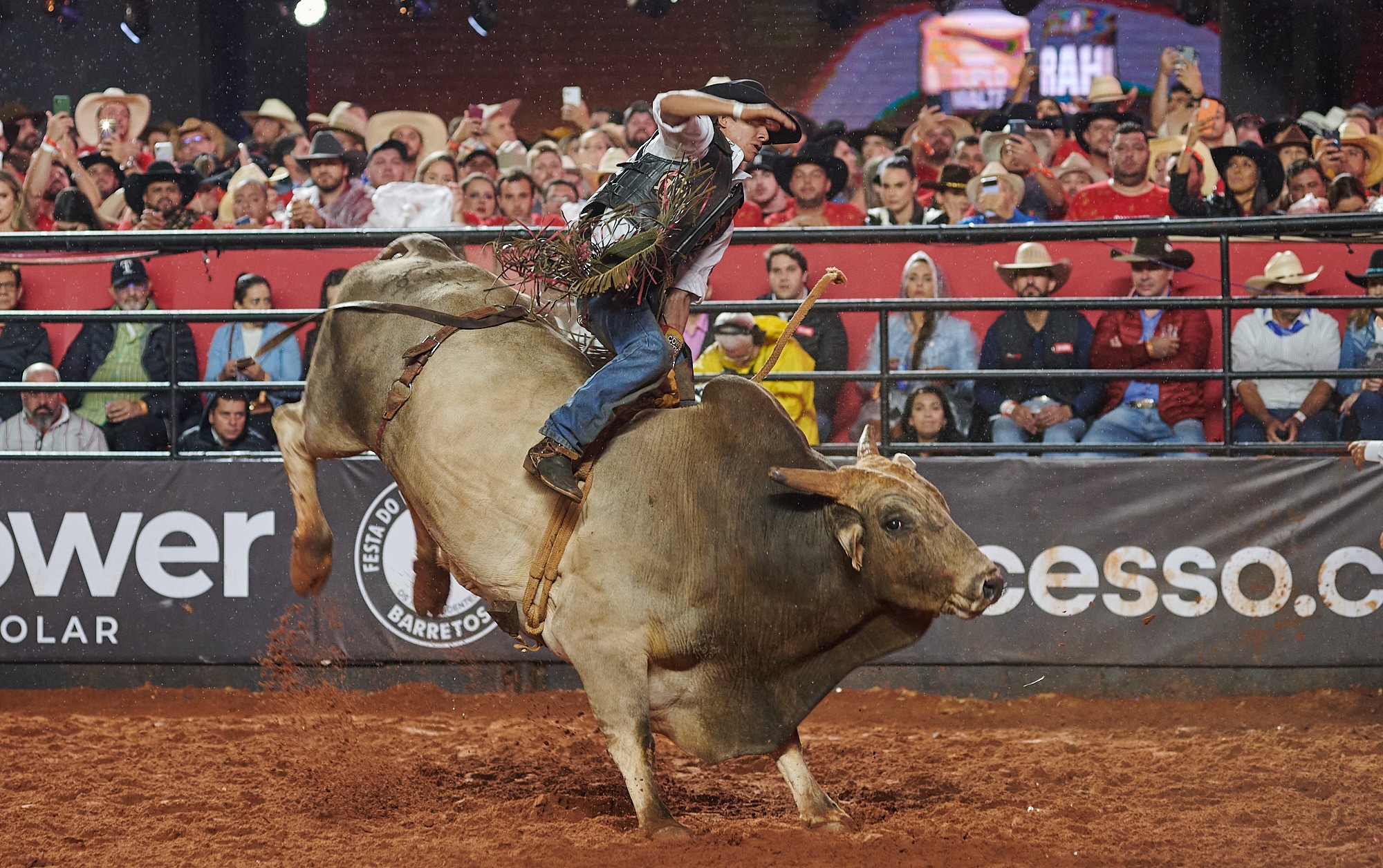 Com menor nota da final, brasileiro vence Rodeio Internacional em ...
