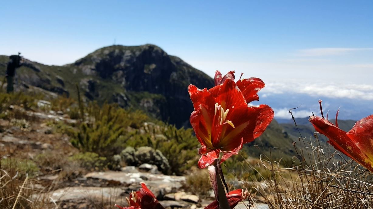 Parque Nacional do Caparaó: montanhismo, cachoeiras e paisagens ...