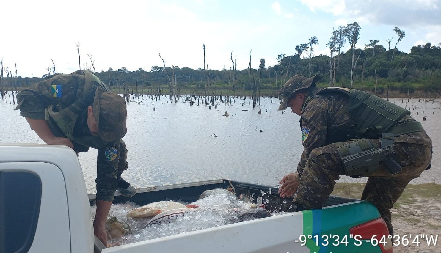 Polícia doa 700 quilos de peixe apreendidos no rio Madeira, em RO | G1