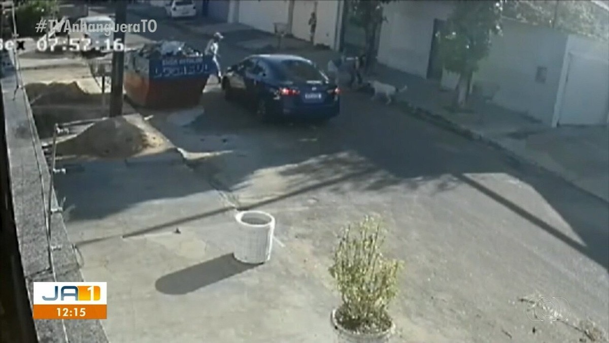 Vídeo mostra cachorro fugindo de casa e atacando outros animais em rua | Tocantins | G1