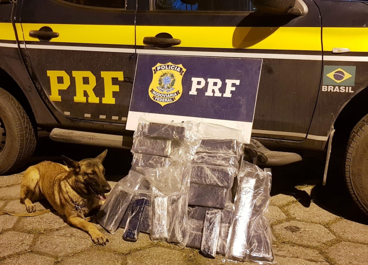 Com Ajuda De Cães Farejadores Prf Apreende 27 Tabletes De Maconha Na