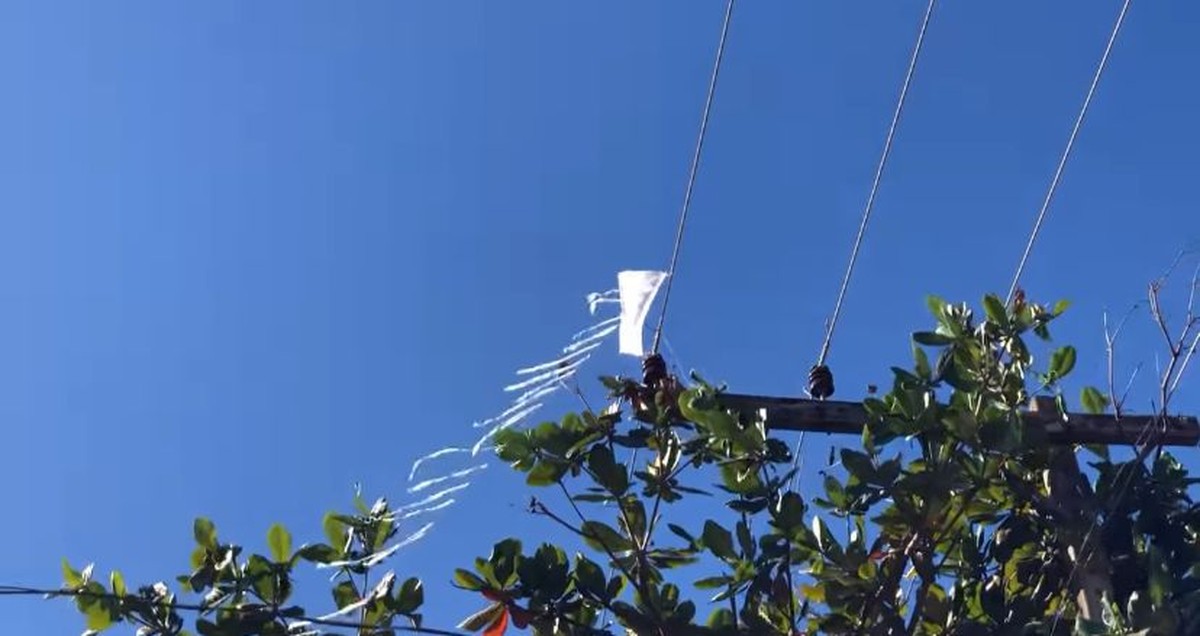 Araraquara tem aumento de 188% nos problemas causados por pipas na rede ...