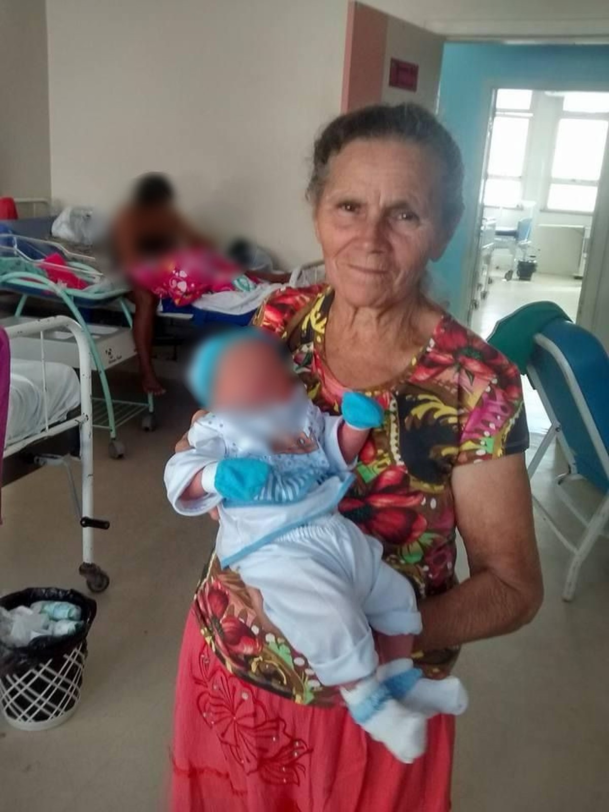 Idosa morre após ser atacada por cinco pitbulls no Sul de Roraima | Roraima | G1